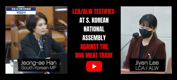 Last Chance for Animals - Home