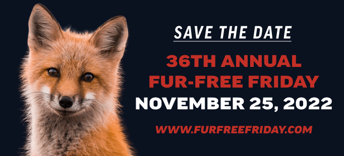Last Chance for Animals - Fur Free Friday