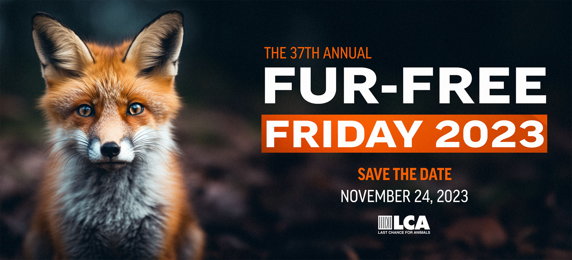 Last Chance for Animals - Home